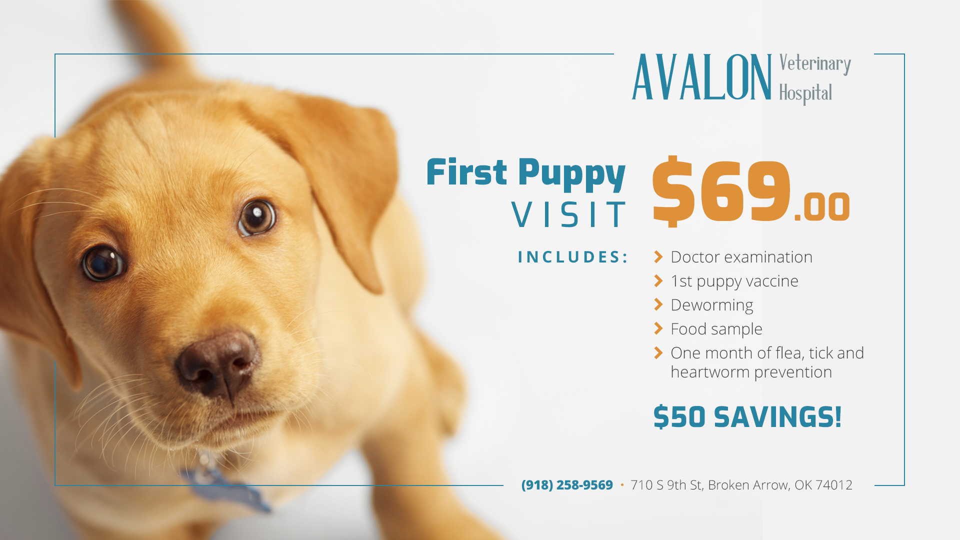 Veterinarian in Broken Arrow, OK | Avalon Veterinary Hospital